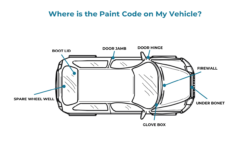 Car Paint Code by VIN